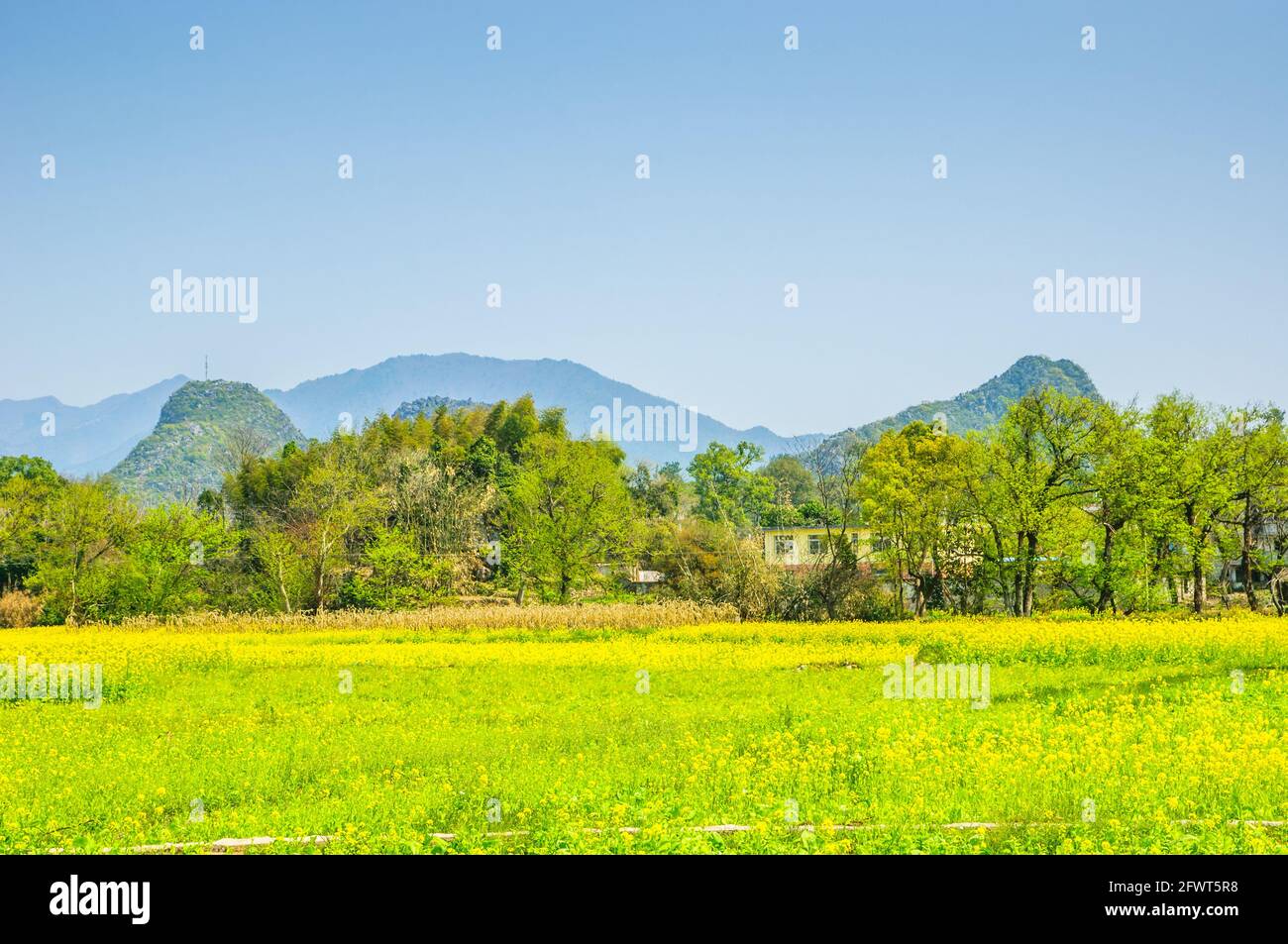 Spring scenery, Guilin, China Stock Photo - Alamy