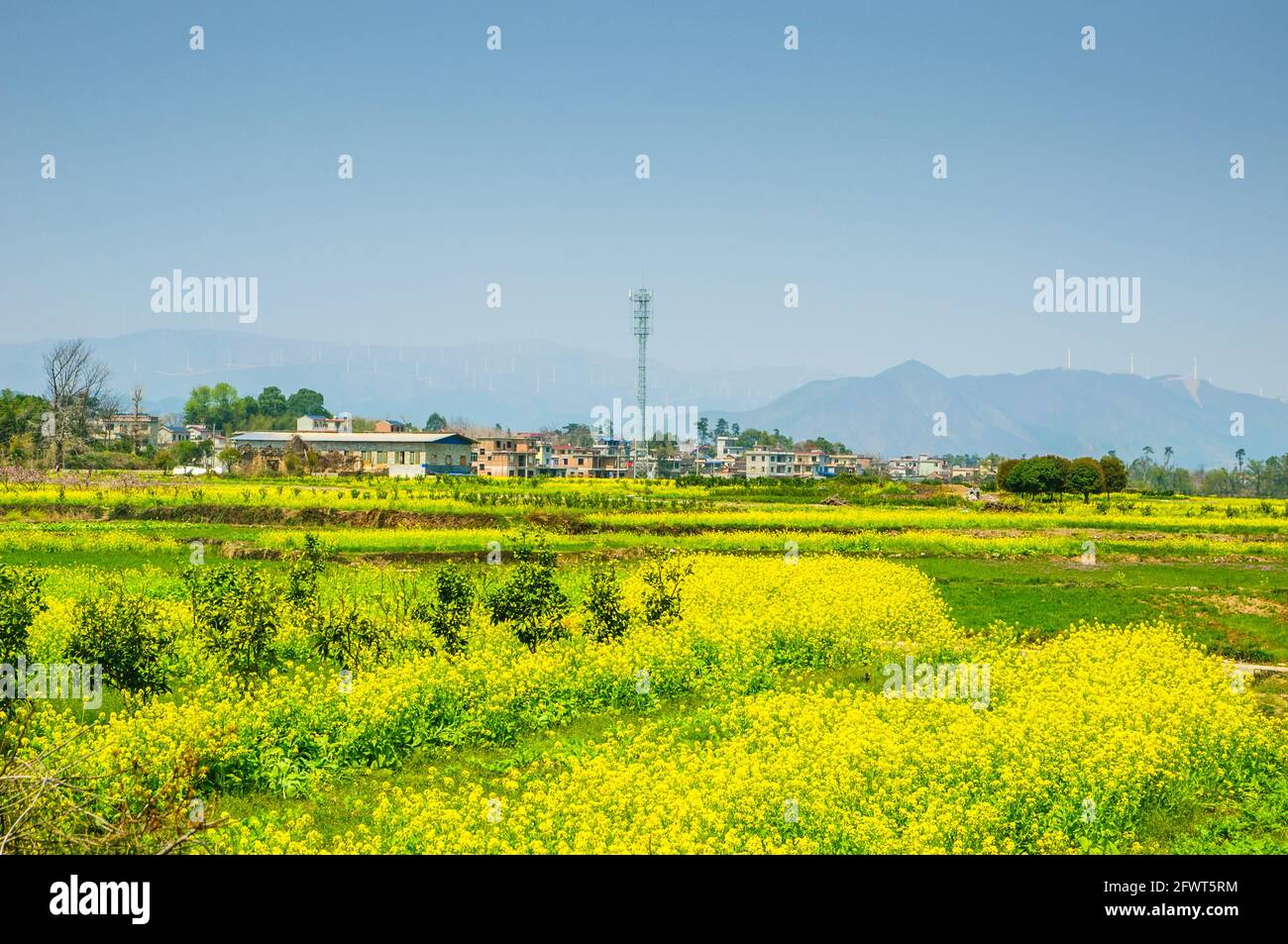 Spring scenery, Guilin, China Stock Photo - Alamy