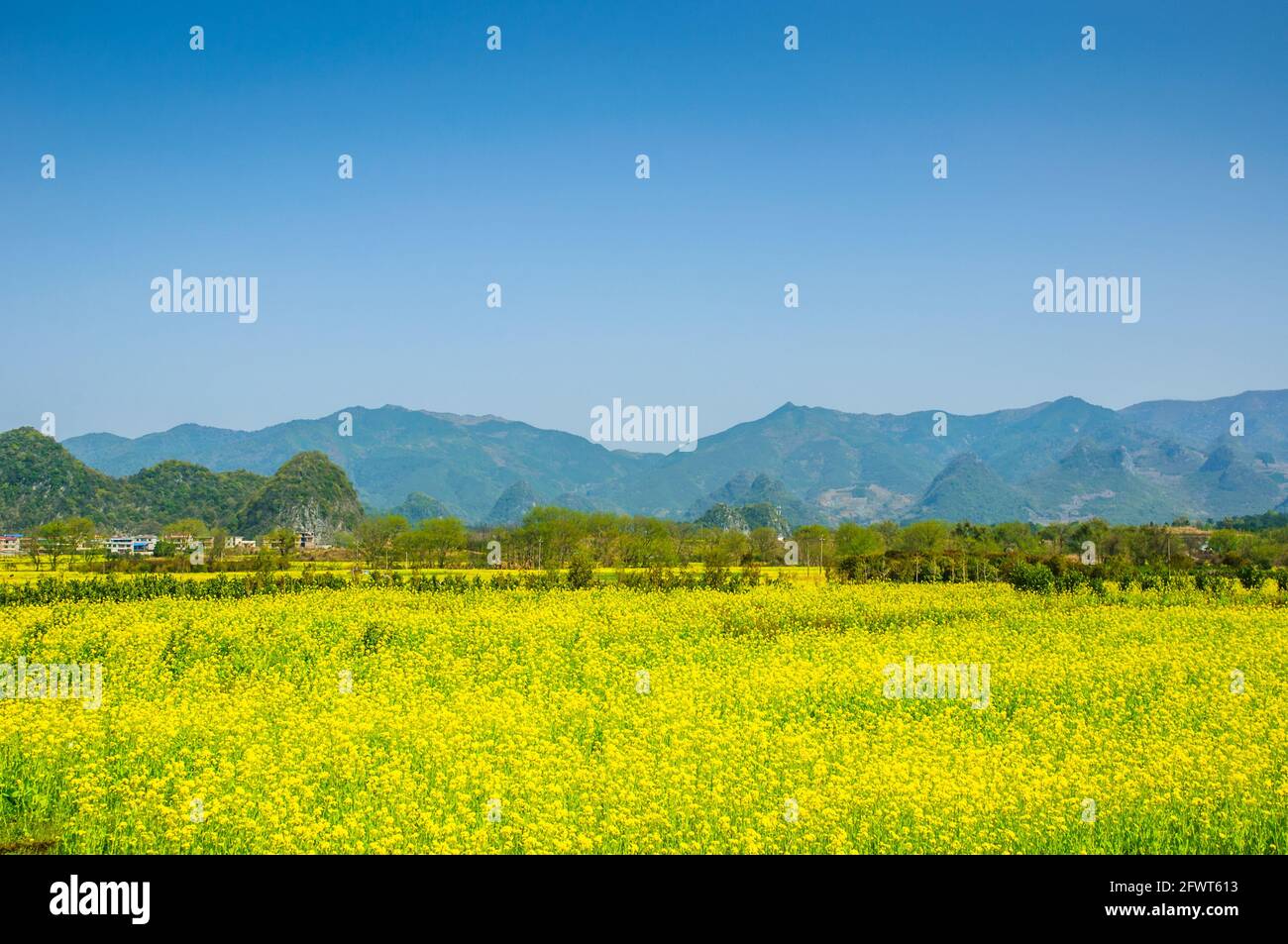 Spring scenery, Guilin, China Stock Photo - Alamy