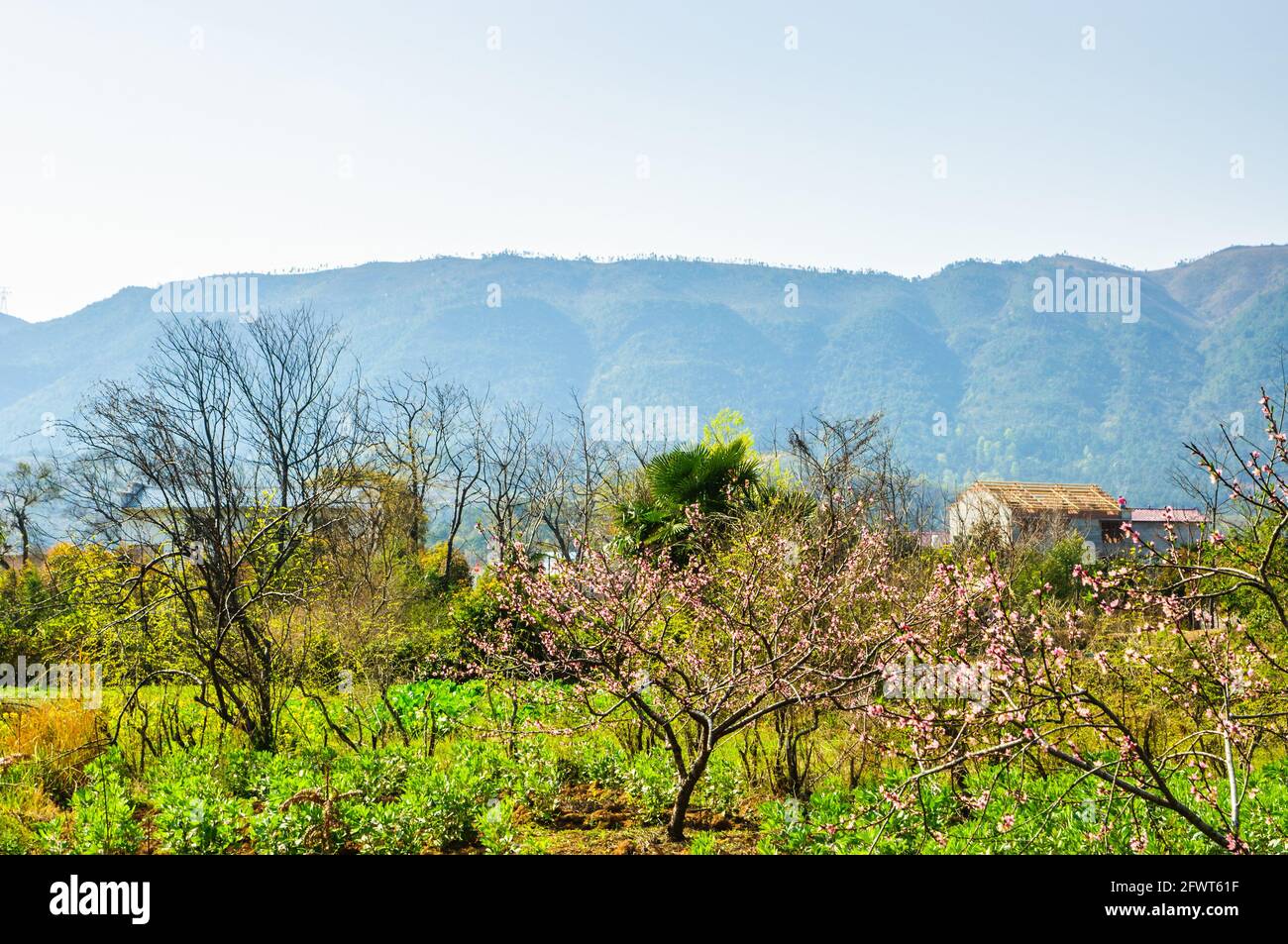Countryside scenery in spring Stock Photo - Alamy