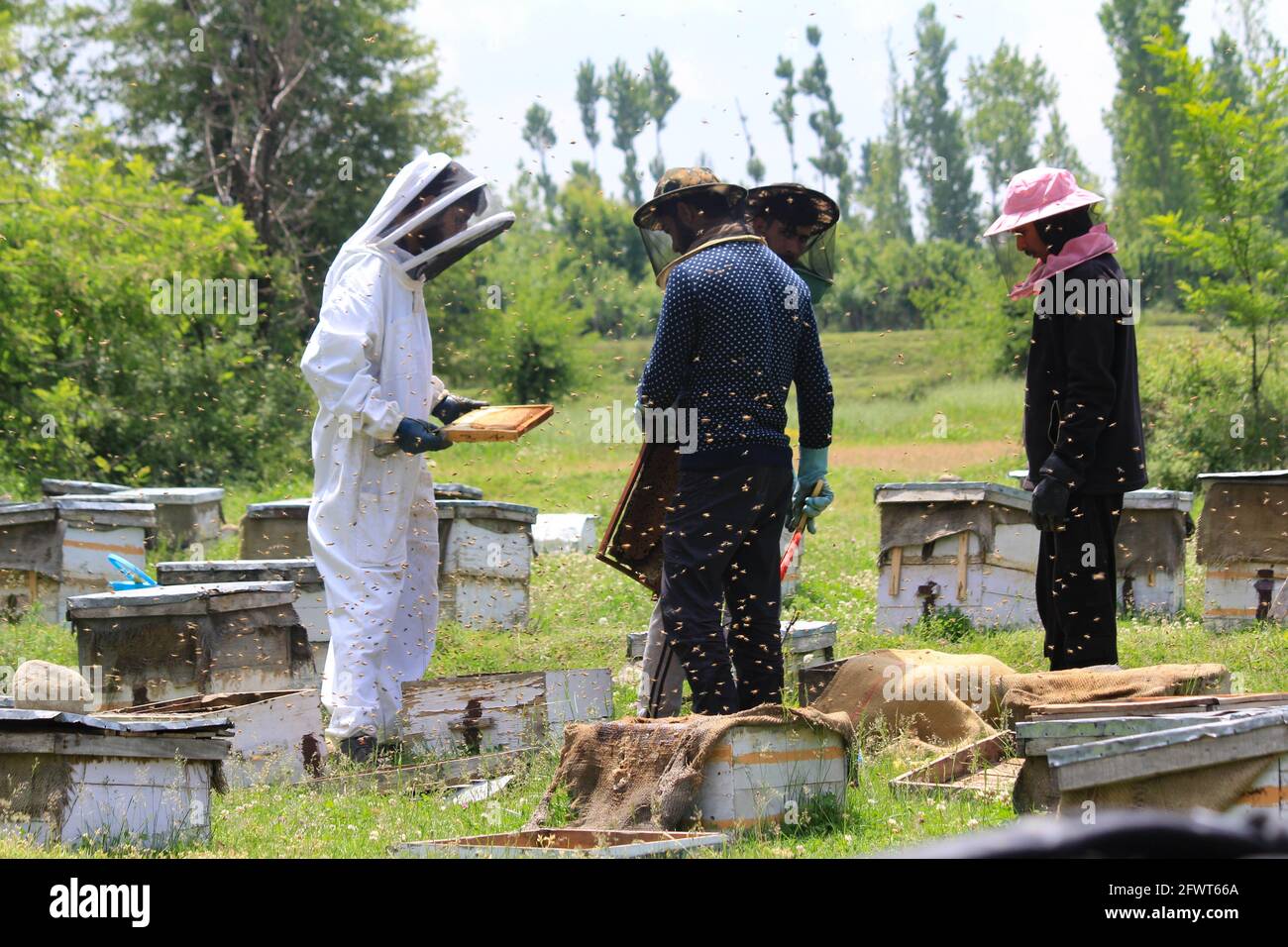 May 23, 2021, Srinagar, Jammu and Kashmir, India: Kashmiri Beekeepers ...