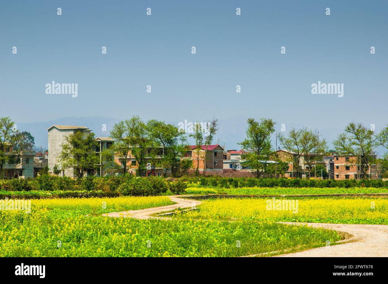 Country road scenery in spring Stock Photo - Alamy