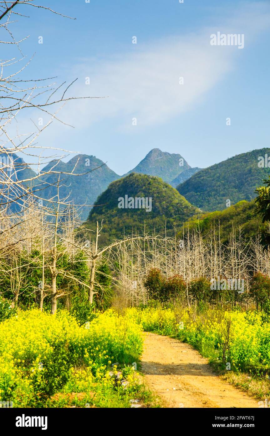 Country road scenery in spring Stock Photo - Alamy