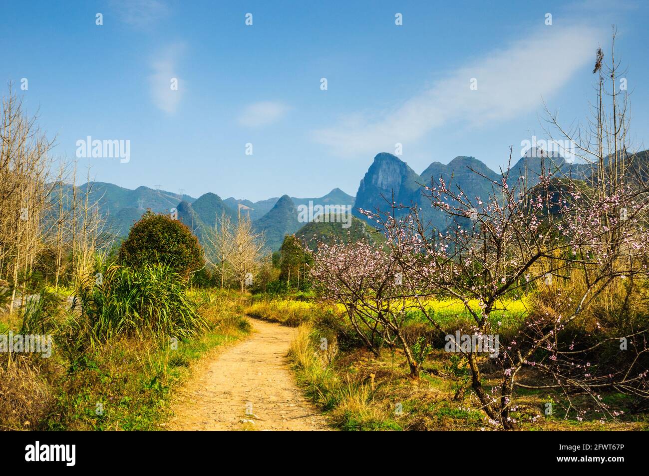 Country road scenery in spring Stock Photo - Alamy