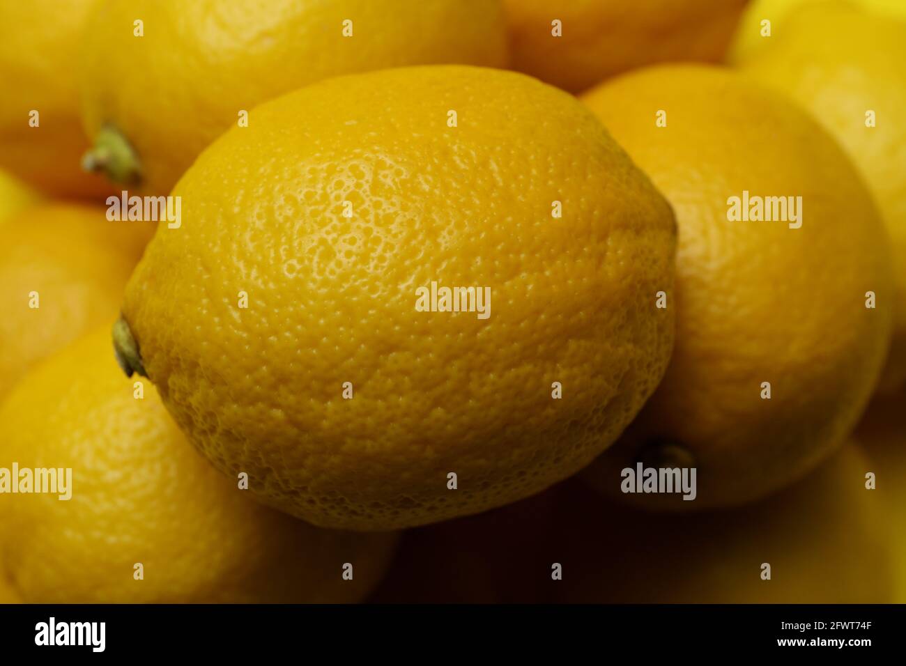 Whole lemons growing hi-res stock photography and images - Alamy