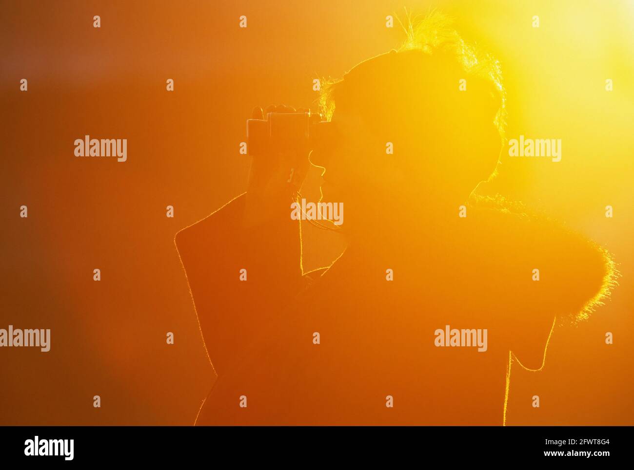Back lit bird hi-res stock photography and images - Alamy