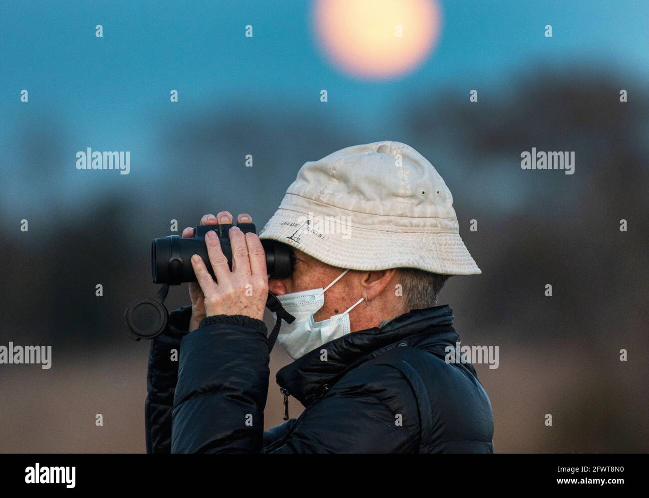 Birdwatching activities hi-res stock photography and images - Alamy