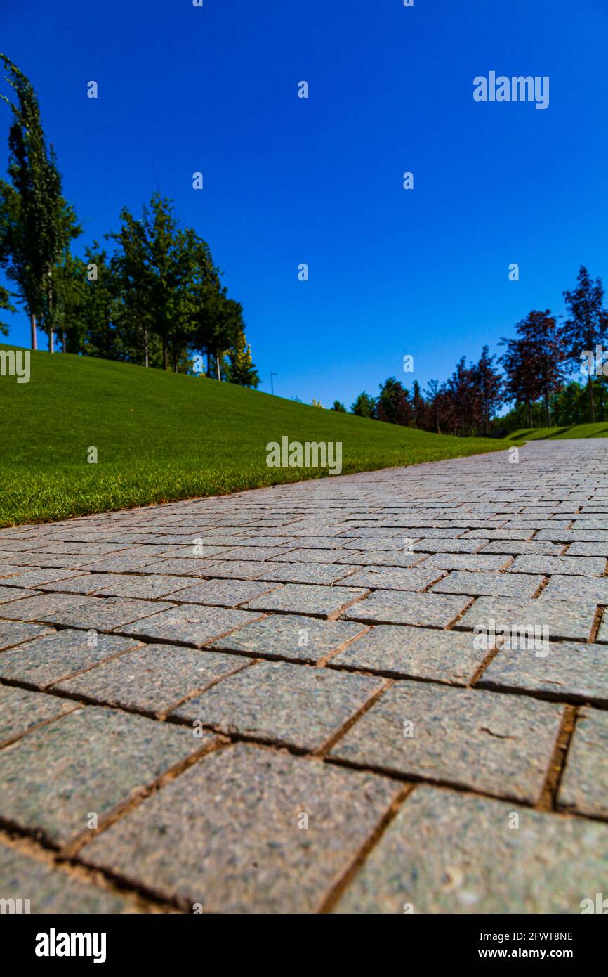 Park in the summer. Walkway and green lawn close up Stock Photo - Alamy