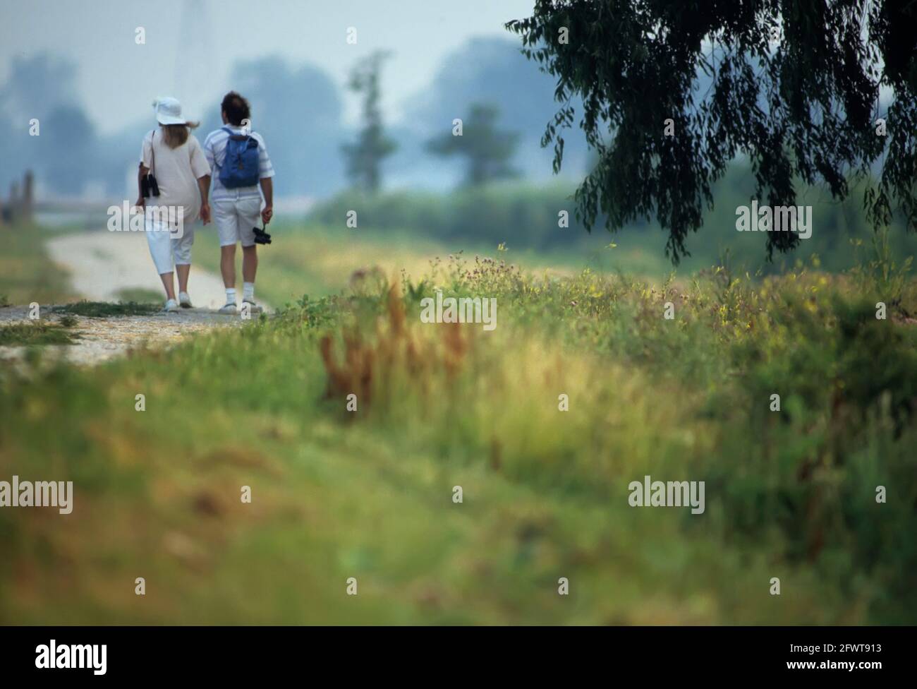Bird watching couple walking on trail Stock Photo - Alamy