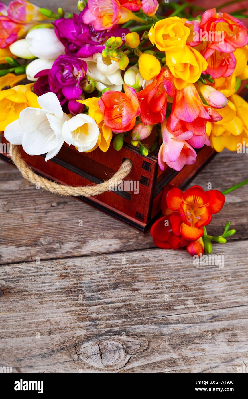 Multicolored freesia in a box on an old wooden background. Beautiful ...
