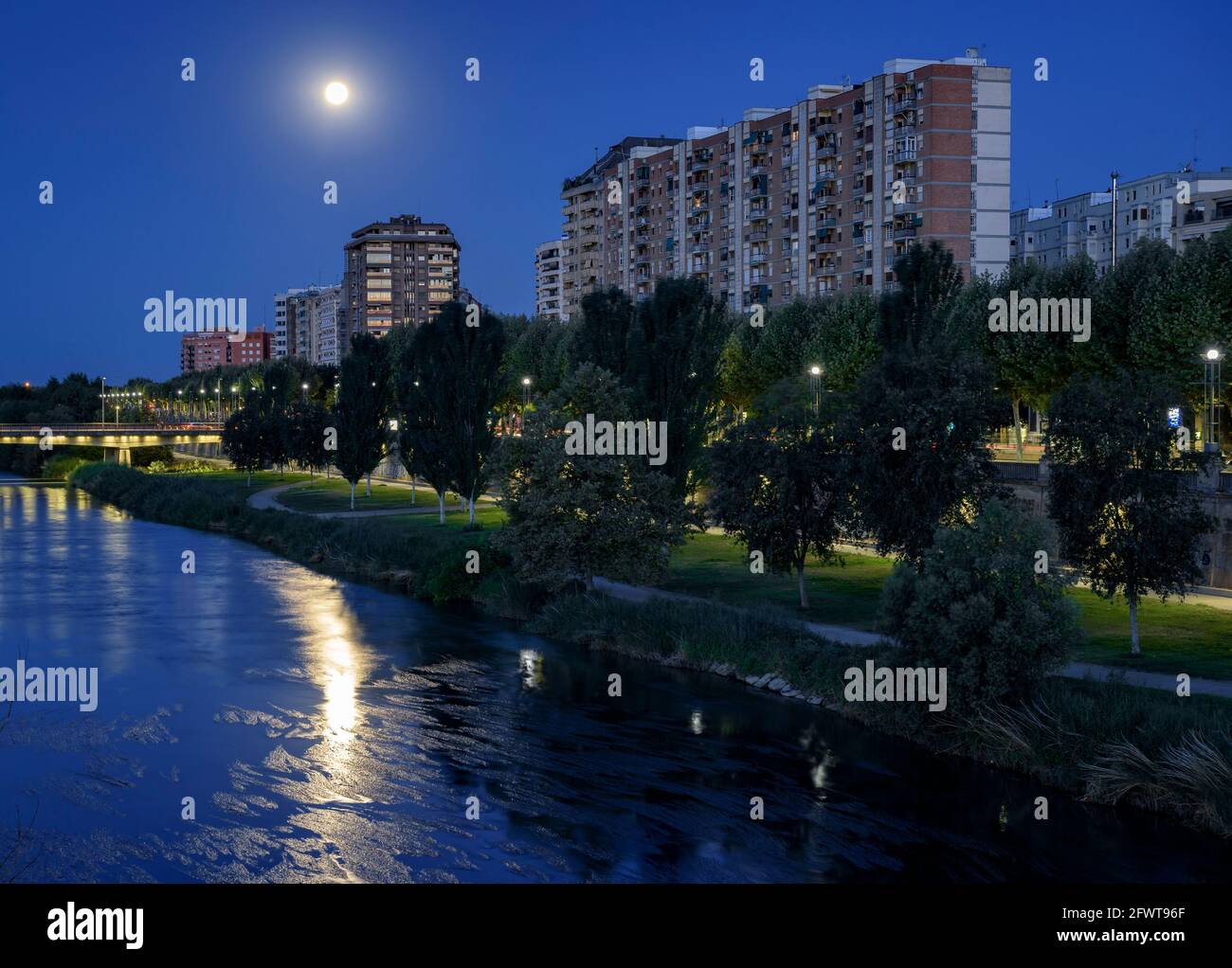 árbol de la luna hi-res stock photography and images - Alamy