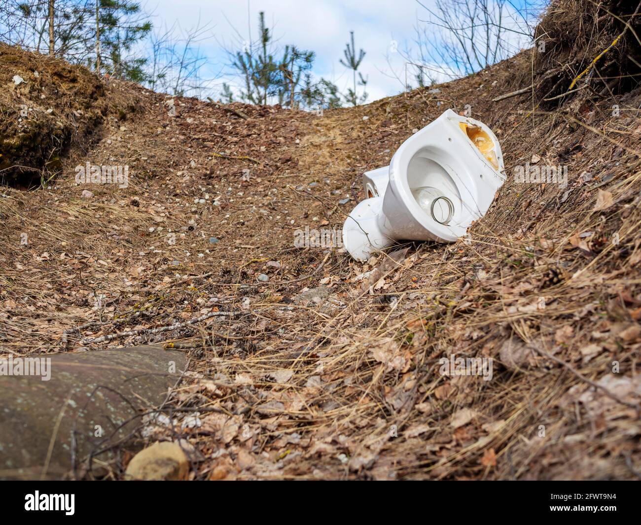 Toilet Litter. Pollution of the forest by household rubbish on nature ...