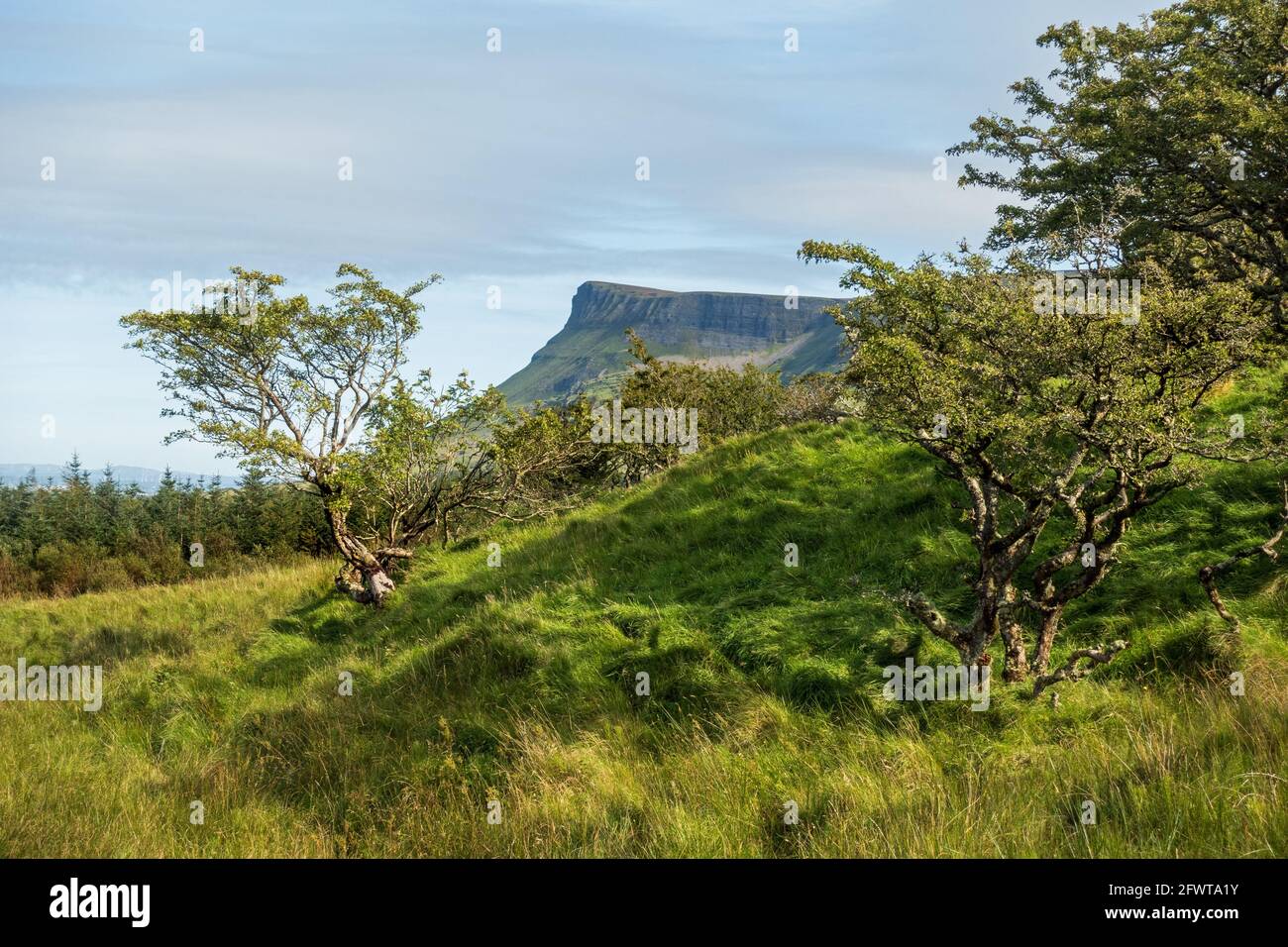 Benbulben or Ben Bulben loop walk in County Sligo, Ireland Stock Photo ...