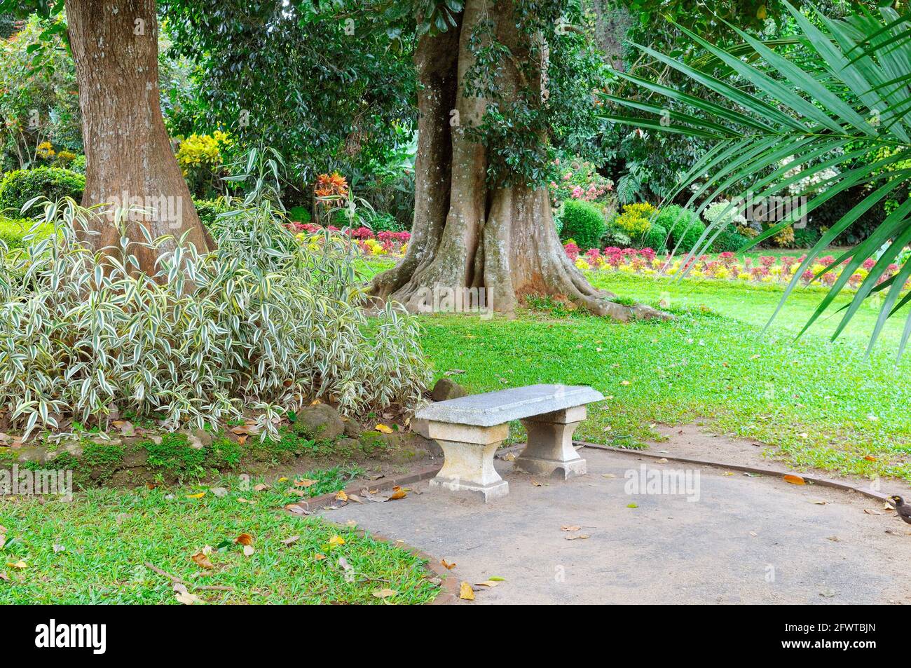 Beautiful tropical park with trees and flowers. In a secluded place is ...