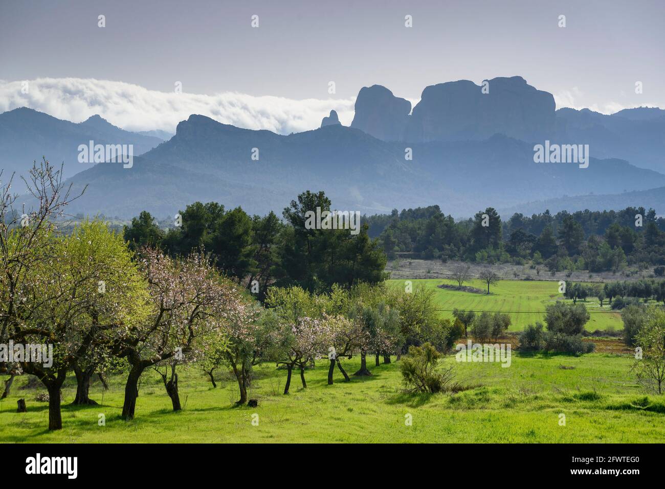 Provincia de tarrag hi-res stock photography and images - Alamy