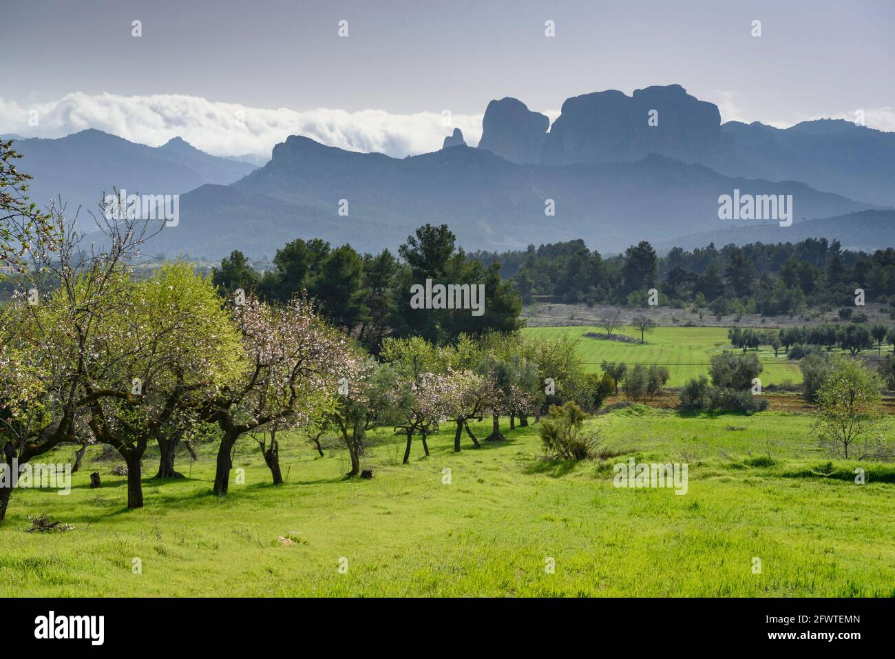 Rocas de niebla hi-res stock photography and images - Alamy