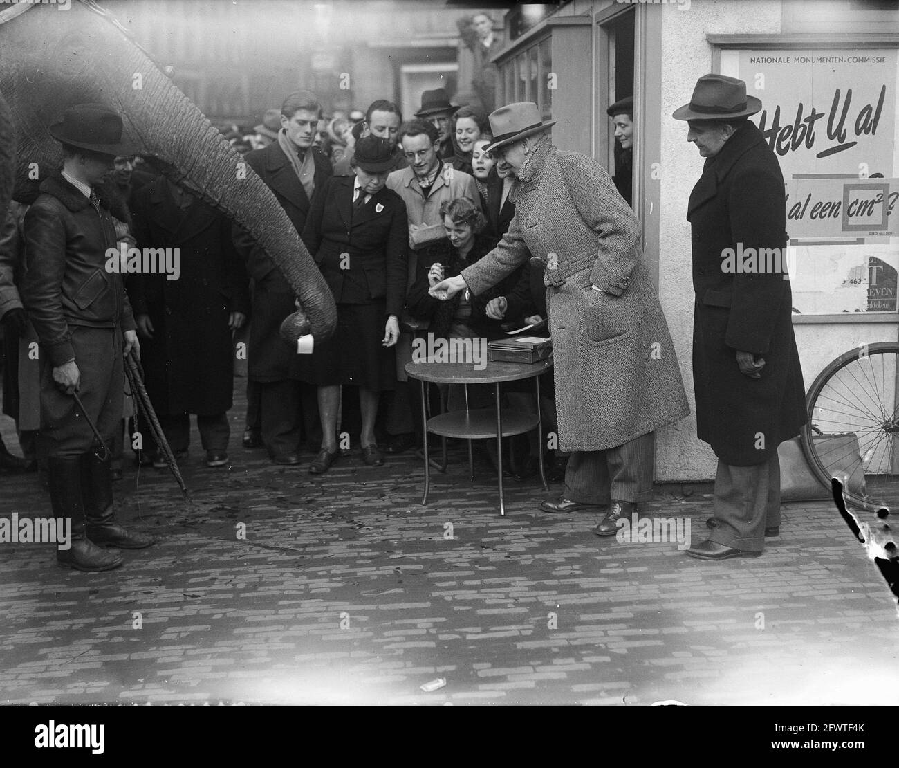 Elephants walk inches hi-res stock photography and images - Alamy