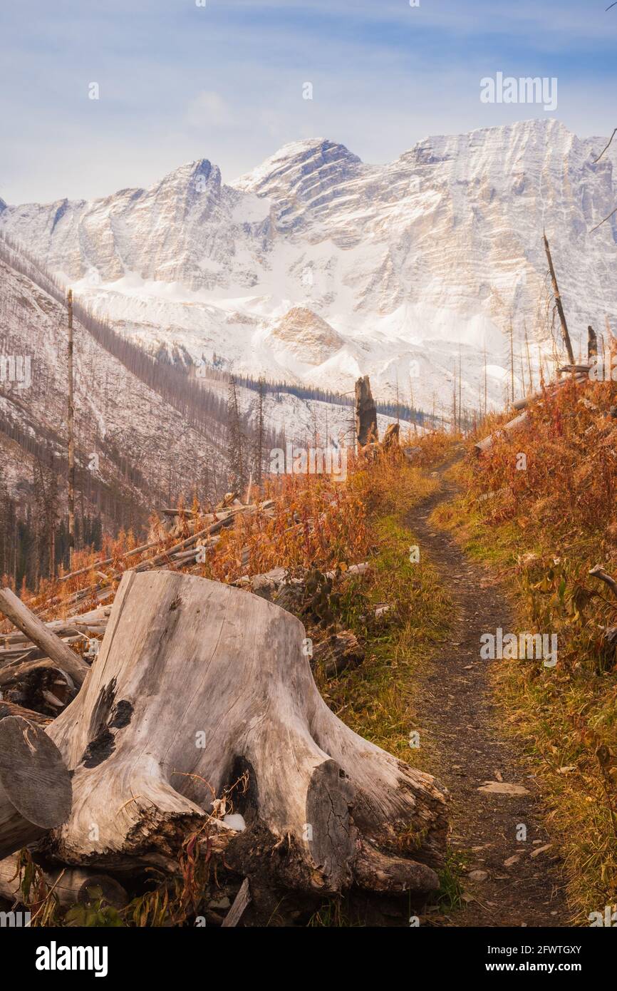The Floe Lake hiking Trail in Fall, Kootenay National Park, Canada ...