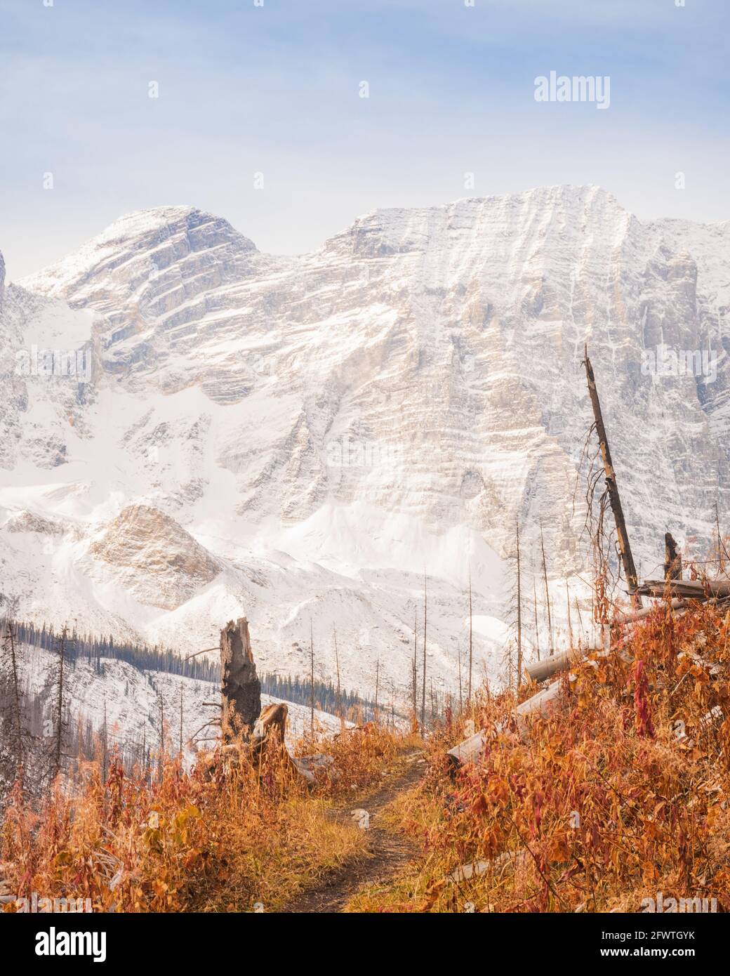The Floe Lake hiking Trail in Fall, Kootenay National Park, Canada ...