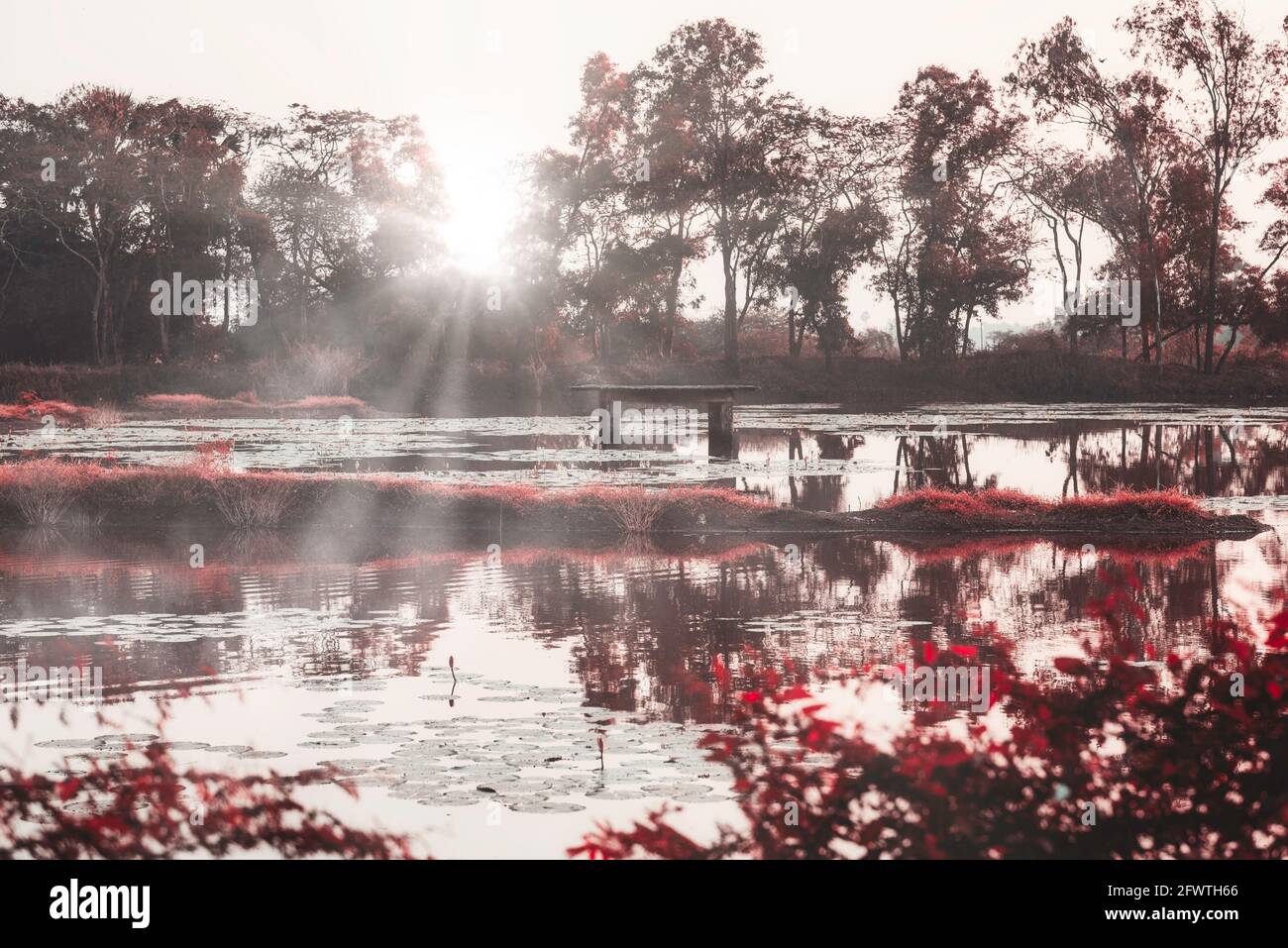 Alibag, also known as Alibaug, is a coastal town, just south of Mumbai ...