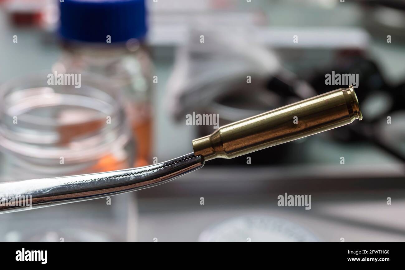 Criminalistic Laboratory, Scientific police officer holds bullet tips ...