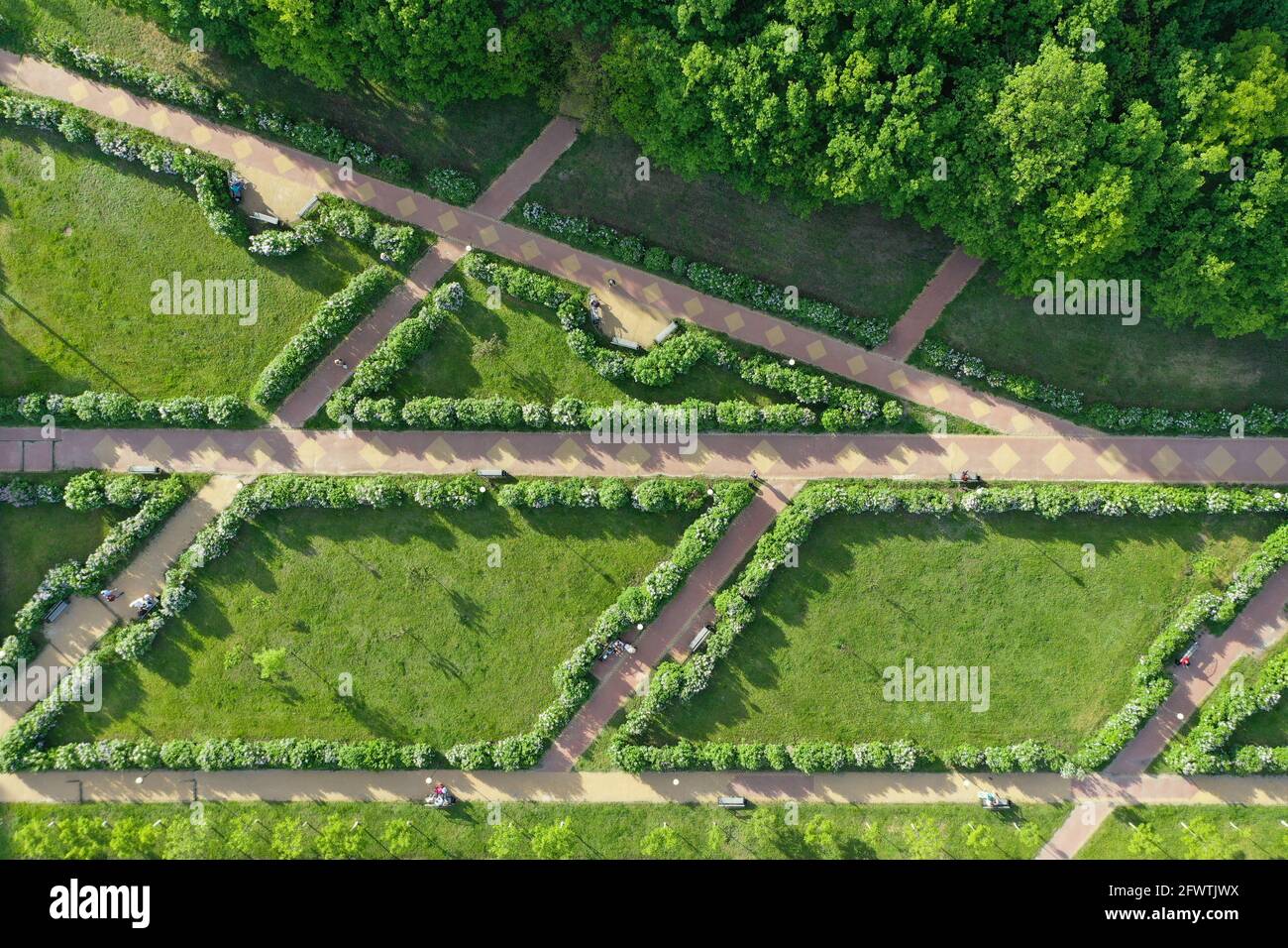Aerial view of spring park with geometric lines walking paths Stock ...