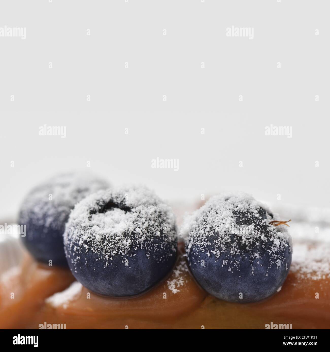 Delicious blueberries with powdered sugar close-up, macro Stock Photo ...