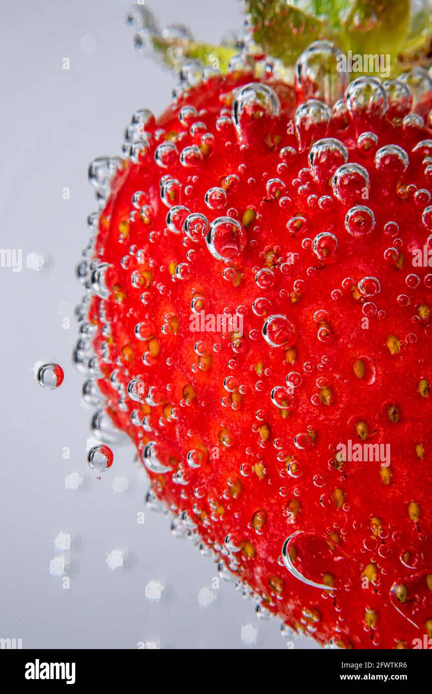 Fruit Photographystrawberry Photos Page 72 | Strawberry Harvest Stock