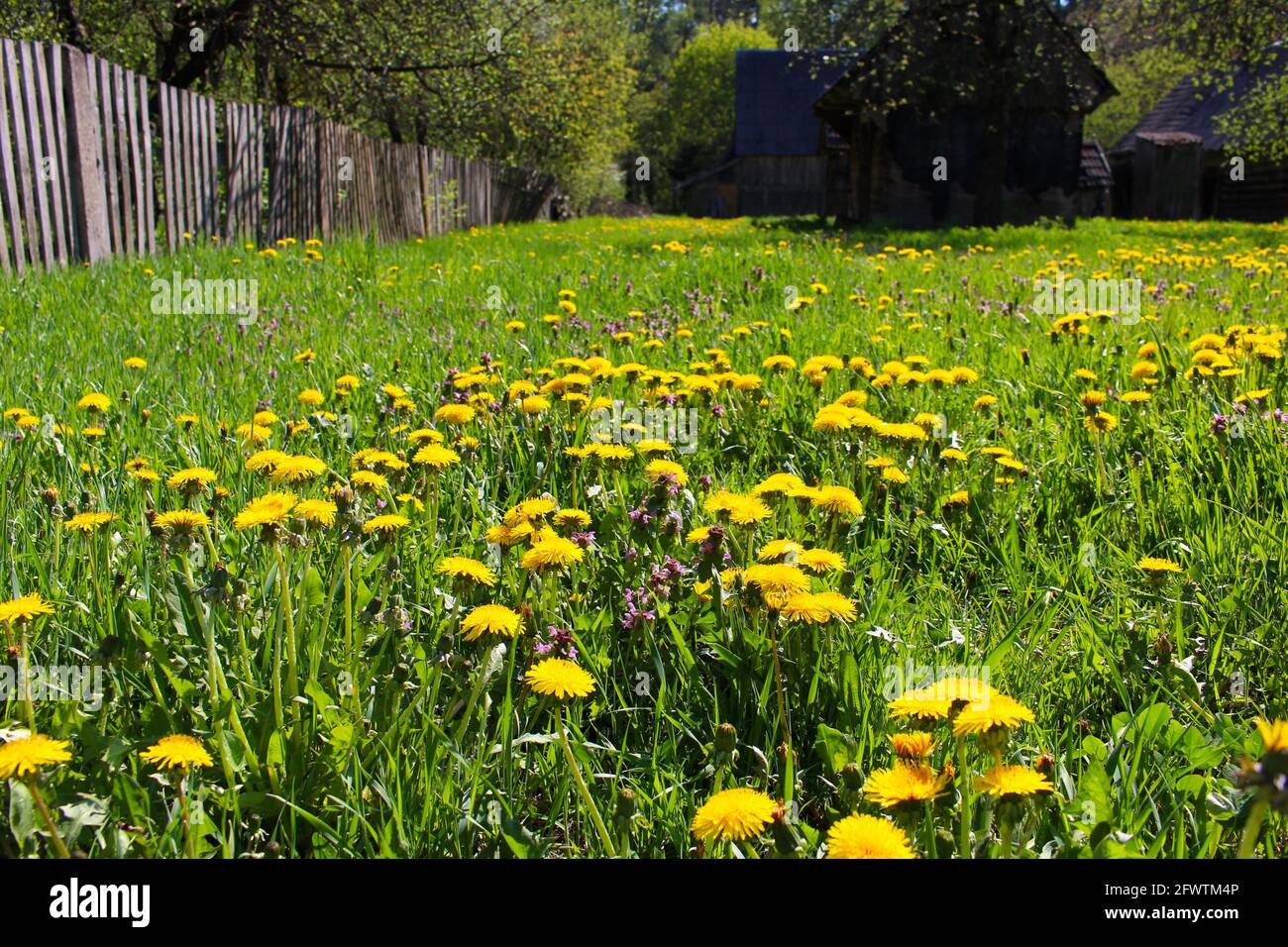 Polish countryside hi-res stock photography and images - Alamy