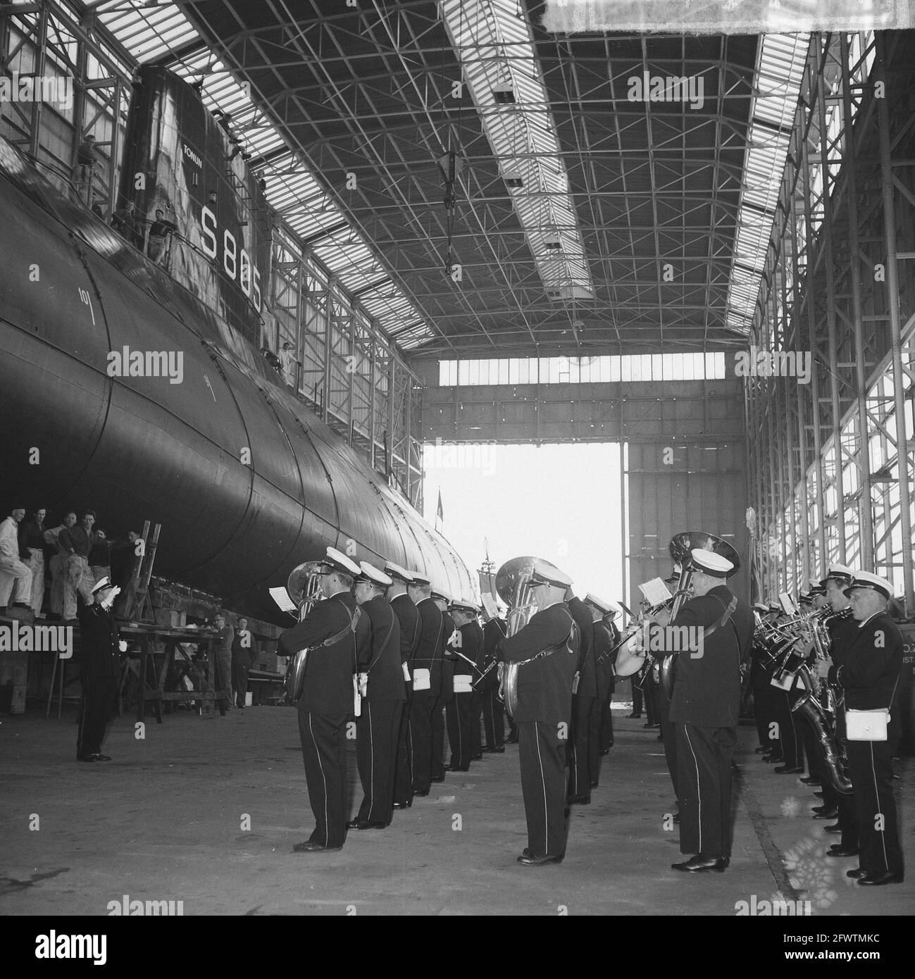 Tonijn launched hi-res stock photography and images - Alamy