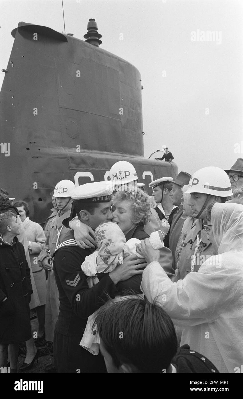 Submarine Sea Lion back from New Guinea, greeting between family and ...