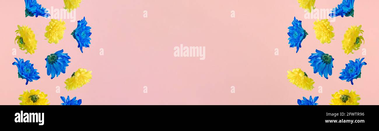 A rain of blue and yellow flowers falls against pastel pink background ...