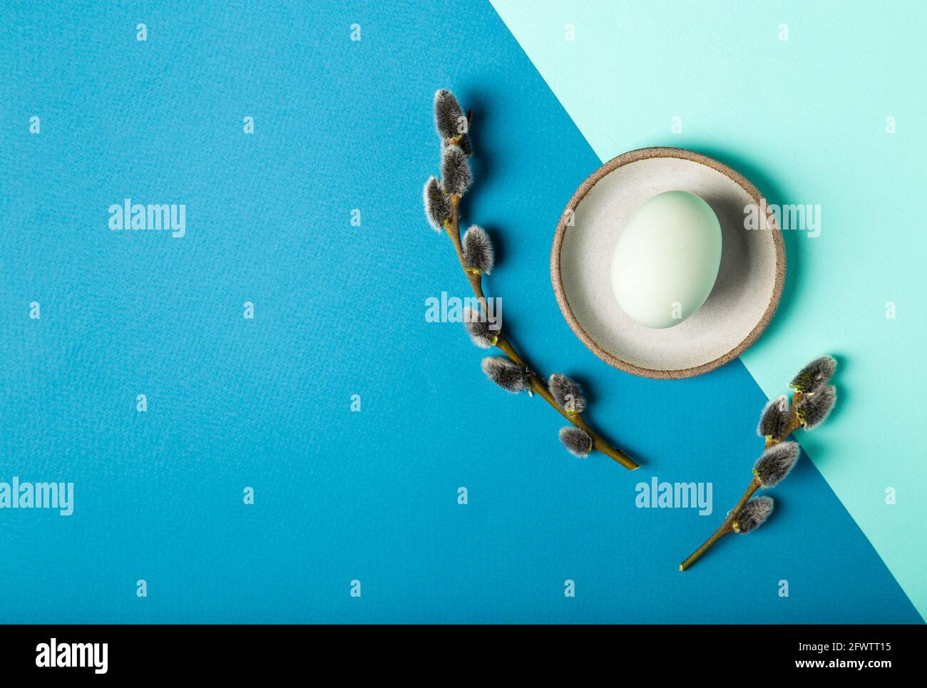 Top view of colored egg with willow branches on bicolor blue background ...