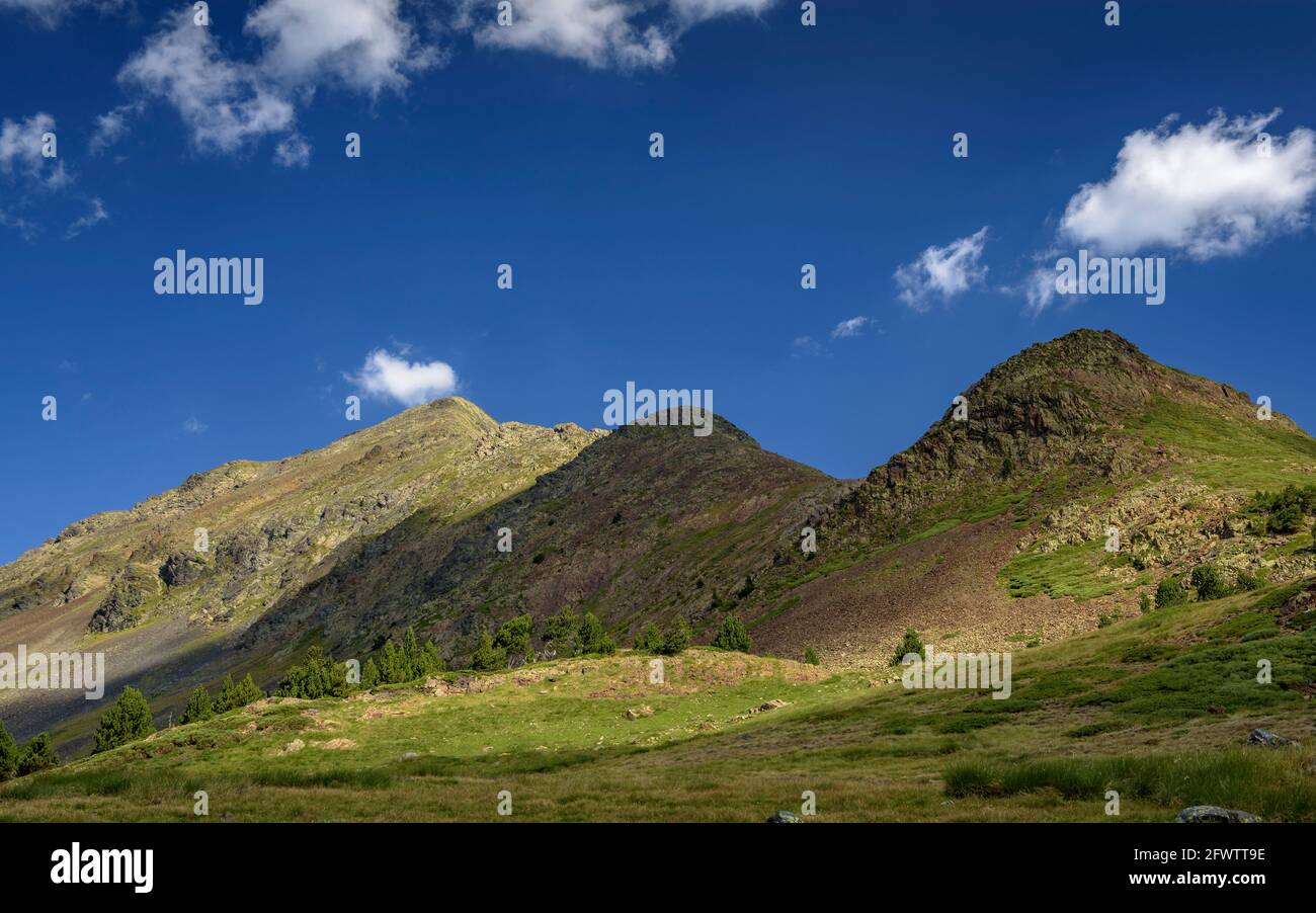 Viajar al sur de francia hi-res stock photography and images - Alamy