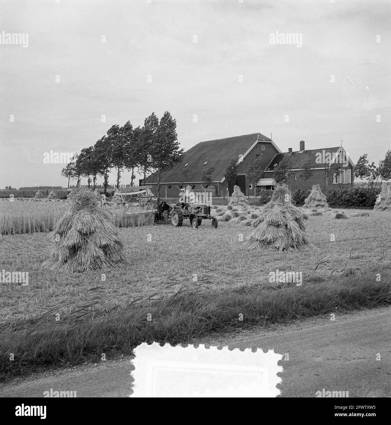 Haying time, 1945 hi-res stock photography and images - Alamy