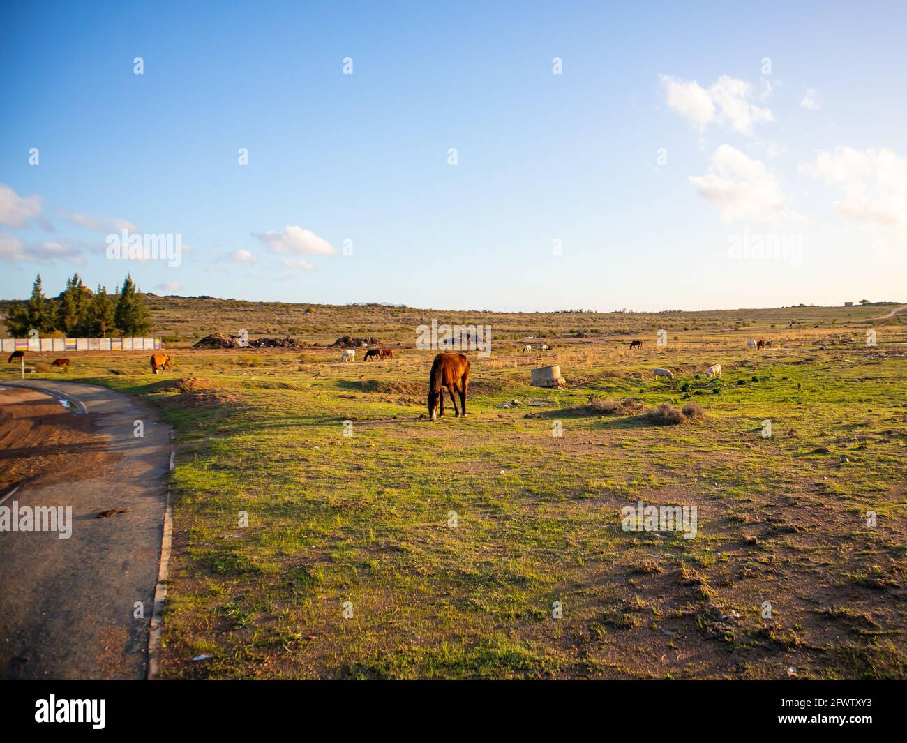 Saron, South Africa - 21-05-2021 Stock Photo - Alamy