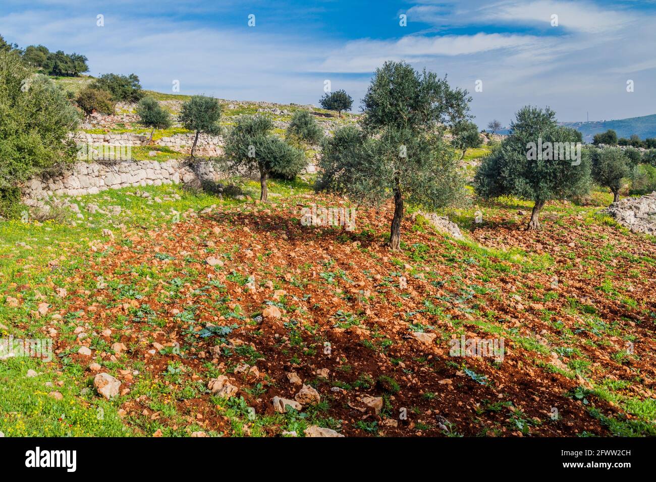Jordan valley farm hi-res stock photography and images - Alamy