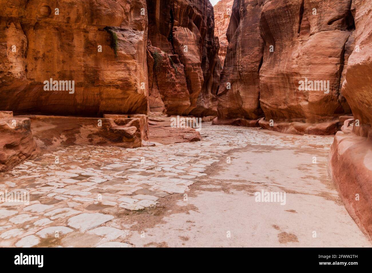 View of the Siq narrow gorge, main entrance to the ancient city Petra ...