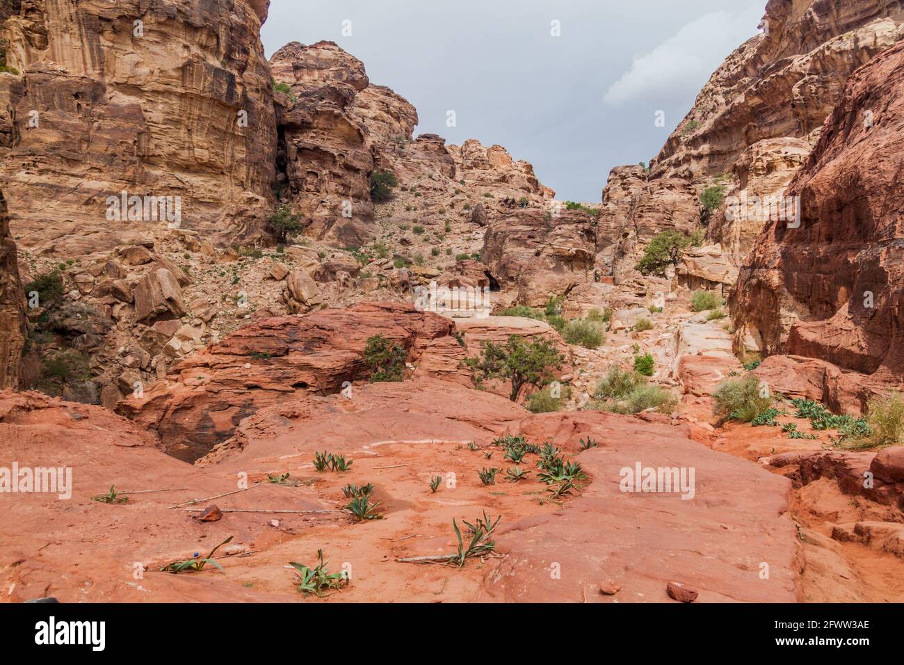 Rocks in the ancient city Petra, Jordan Stock Photo - Alamy