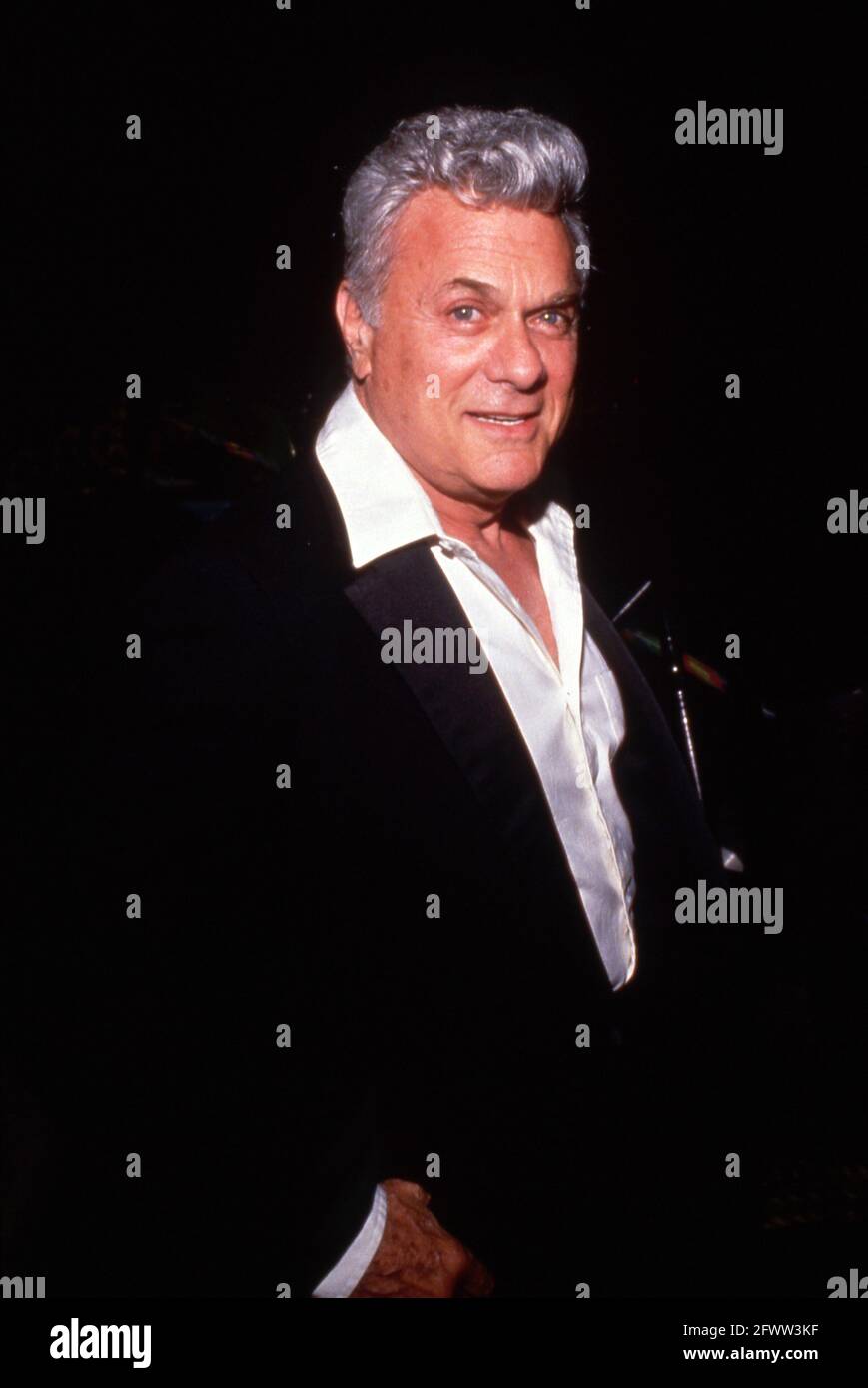 Tony Curtis 1990 Credit: Ralph Dominguez/MediaPunch Stock Photo - Alamy