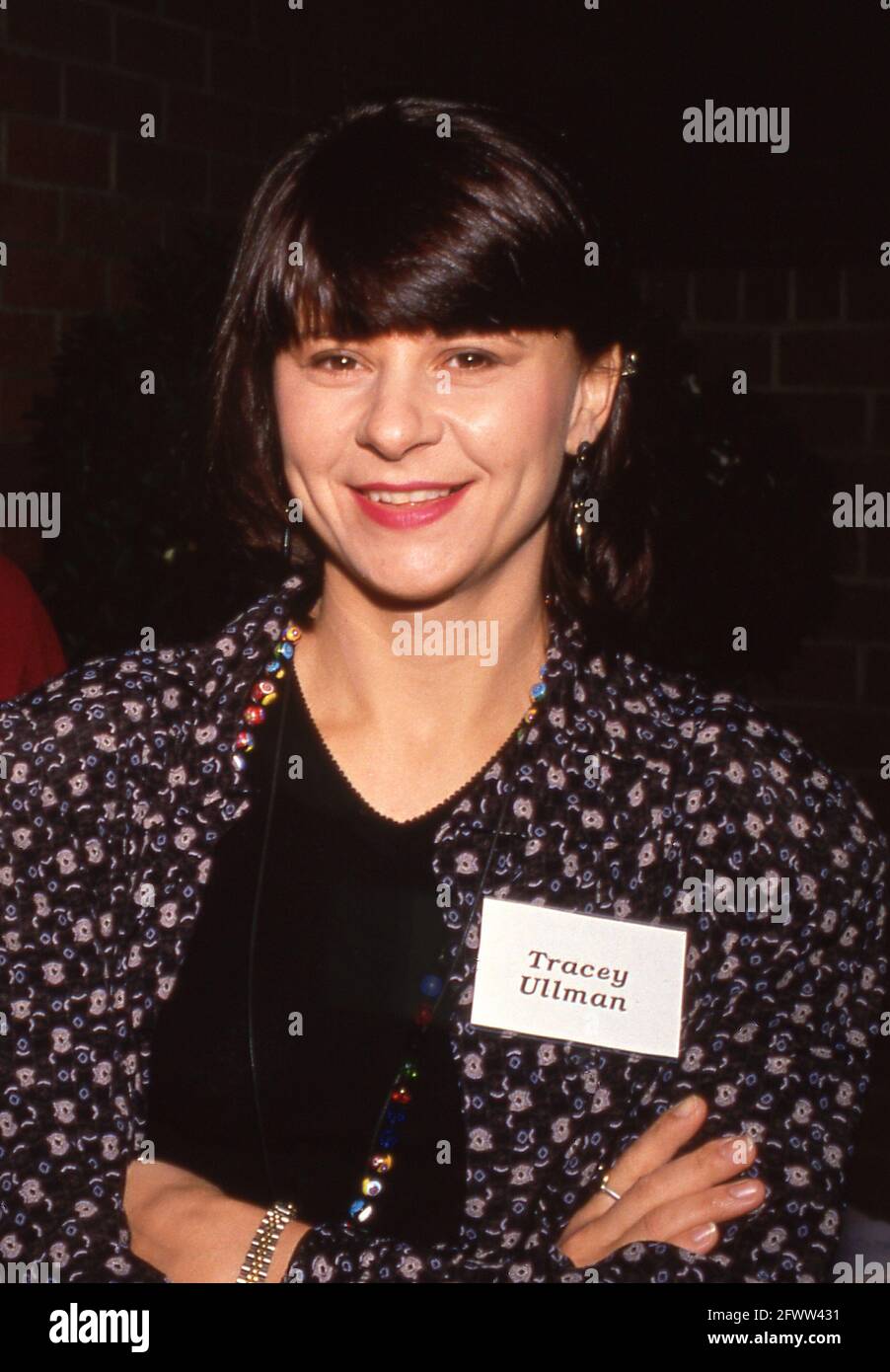 Tracey Ullman 80s The Tracey Ullman Show Wikipedia