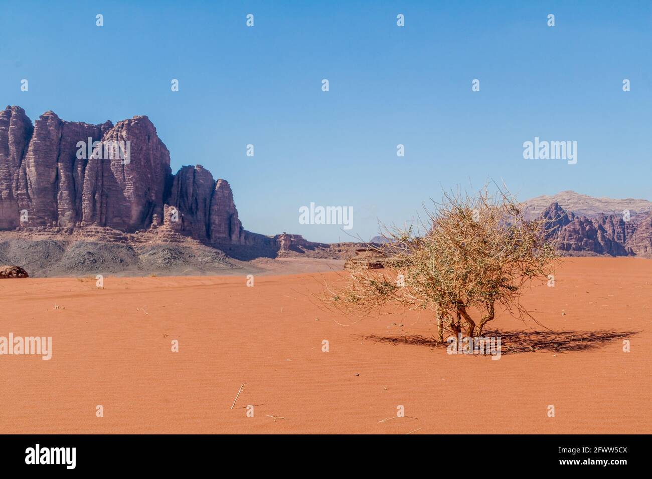 Rocky landscape of Wadi Rum desert, Jordan Stock Photo - Alamy