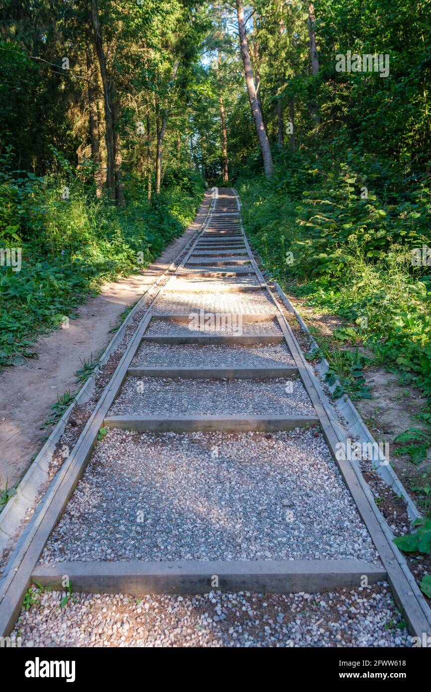tourism pathway in the summer green park with gravel, wooden rails and ...