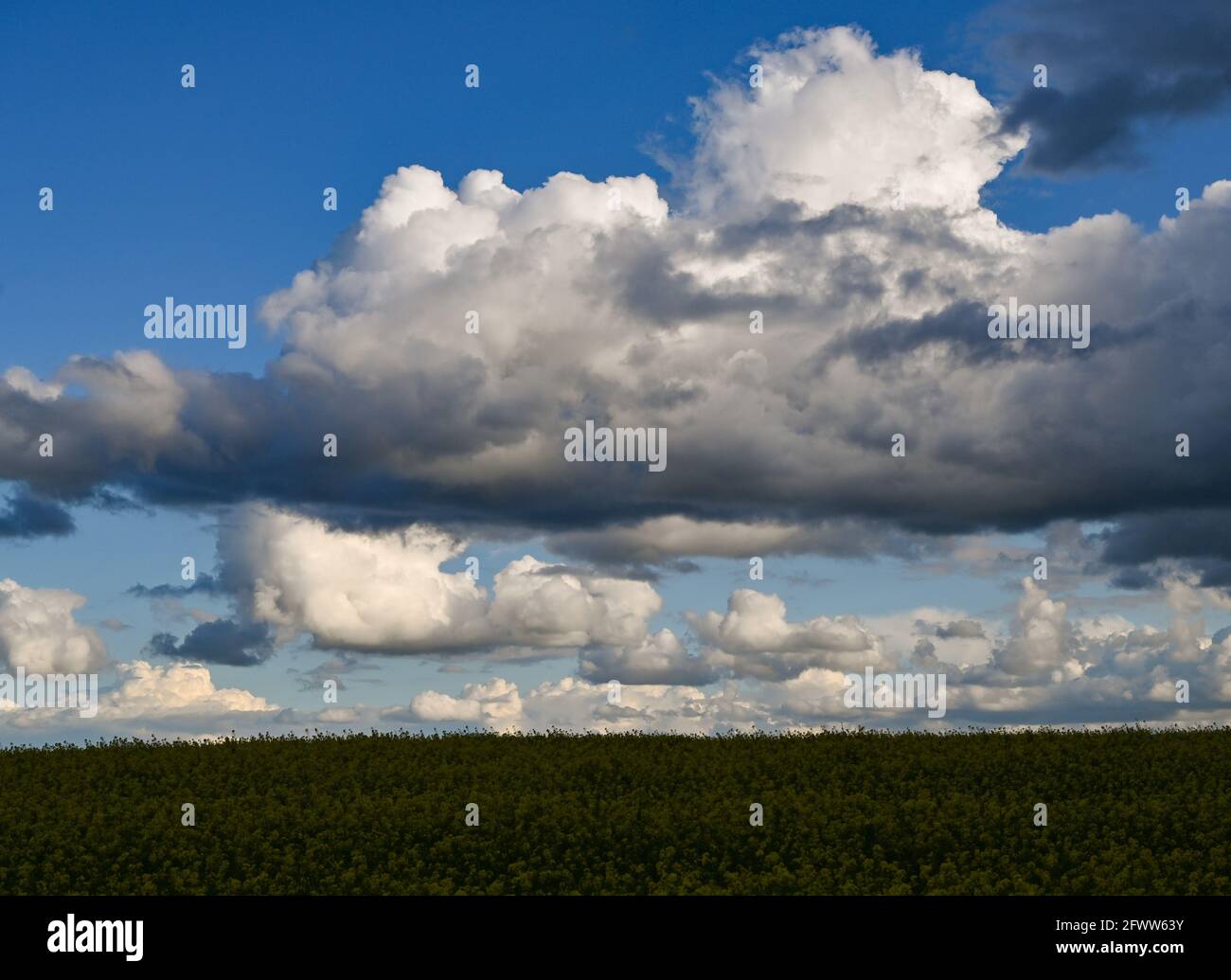 Lietzen, Germany. 23rd May, 2021. Clouds drift across the landscape ...