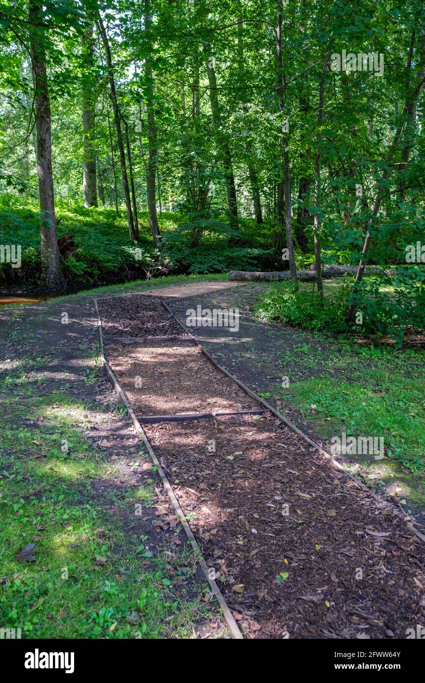 tourism pathway in the summer green park with gravel, wooden rails and ...