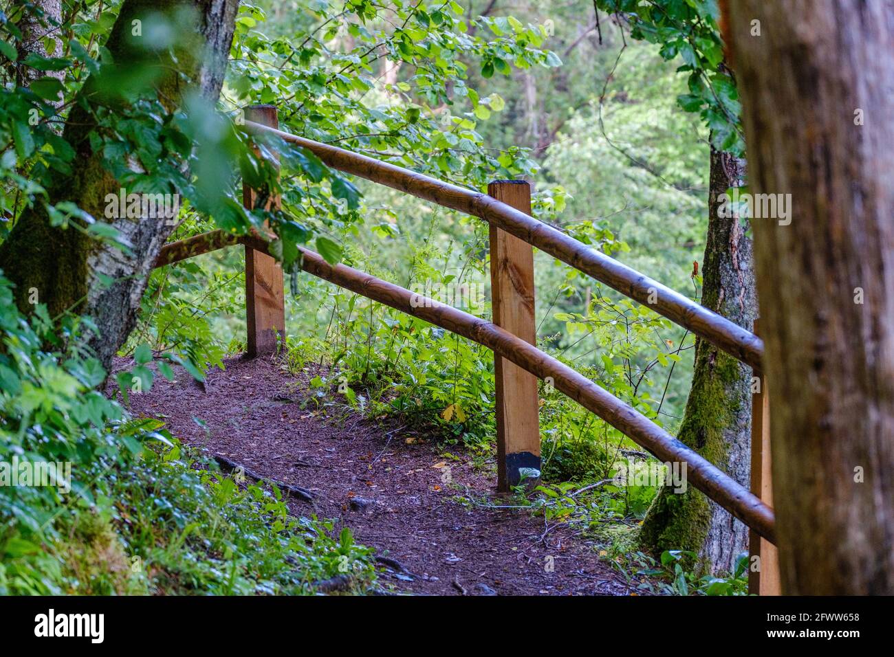 tourism pathway in the summer green park with gravel, wooden rails and ...