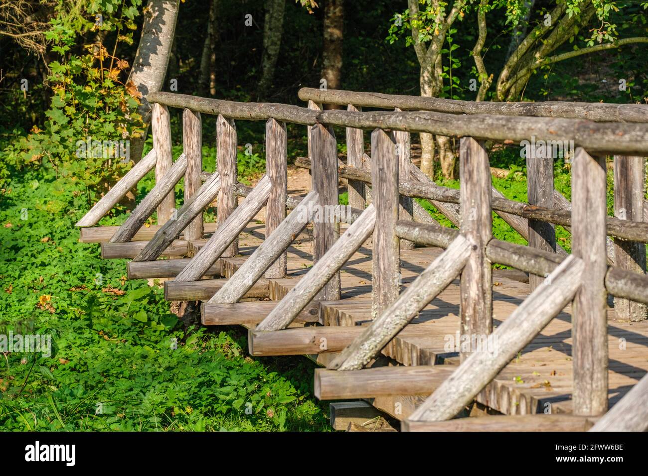 tourism pathway in the summer green park with gravel, wooden rails and ...