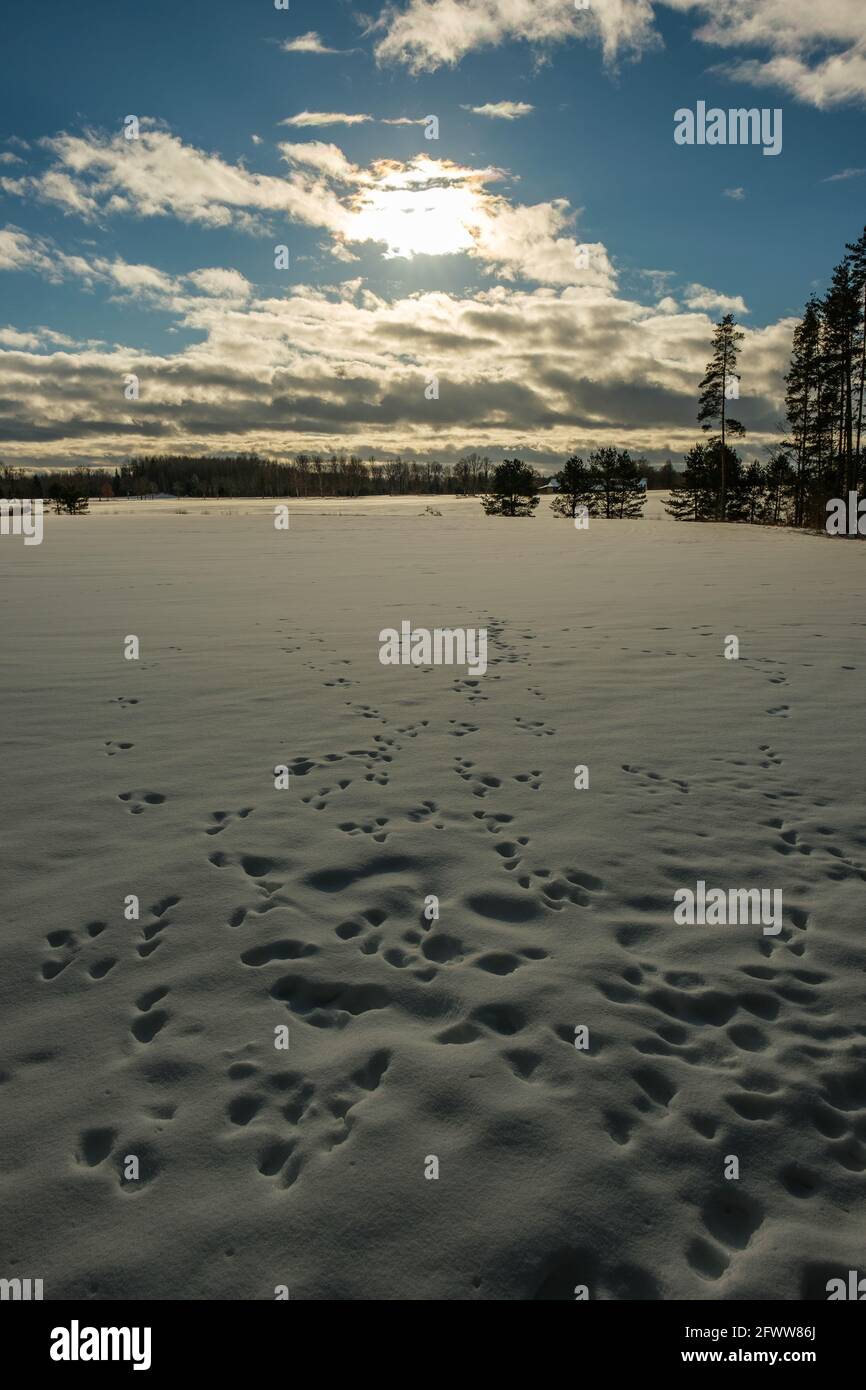 tourist trail in winter snow with boot tracks and steps Stock Photo - Alamy
