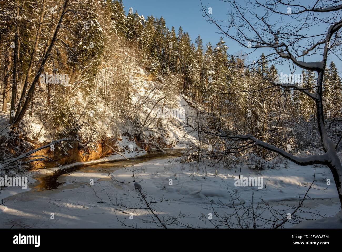 snow covered fields in winter near forest. dark snowy ambient image ...