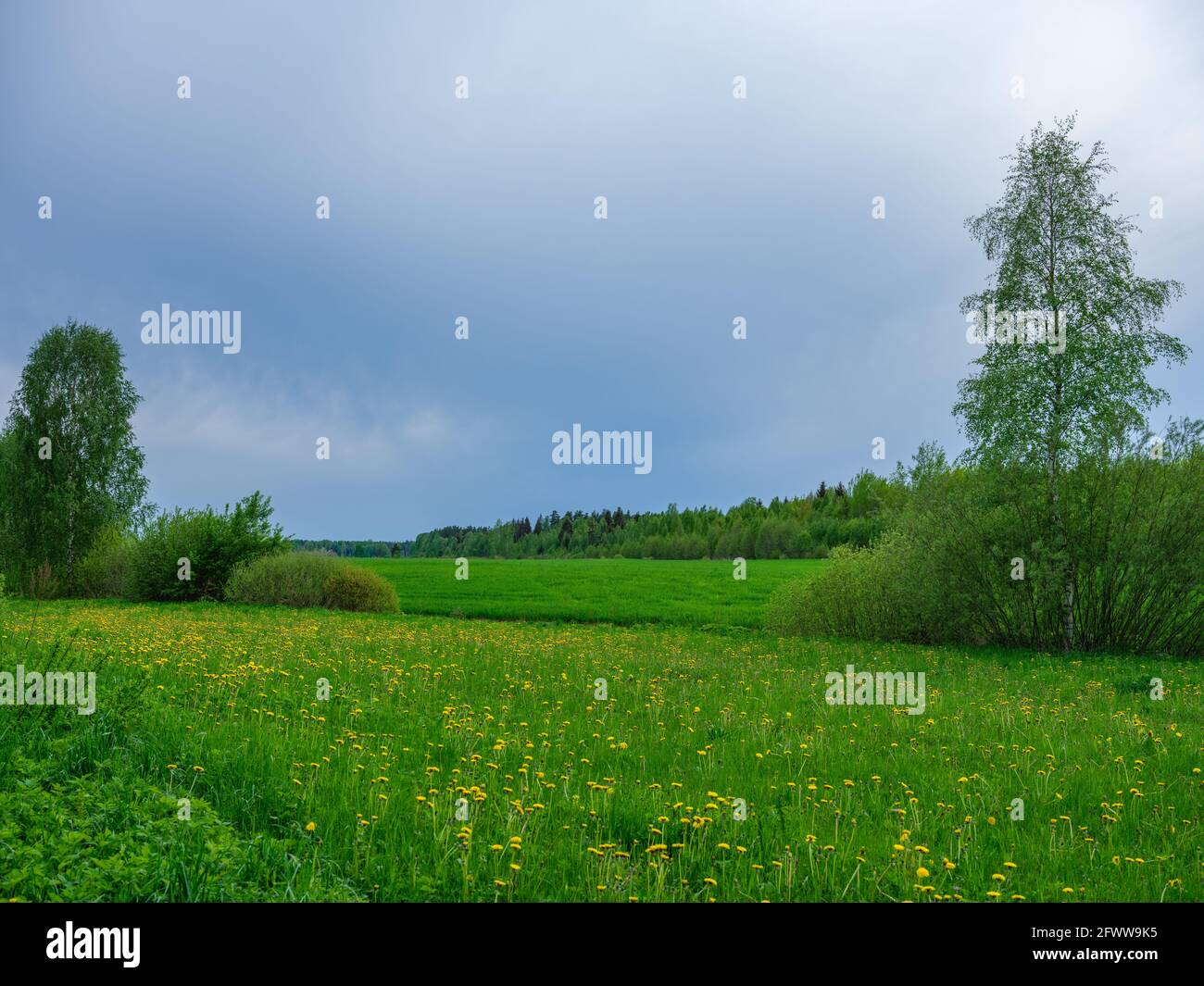 Cumulus clouds over prairie hi-res stock photography and images - Alamy